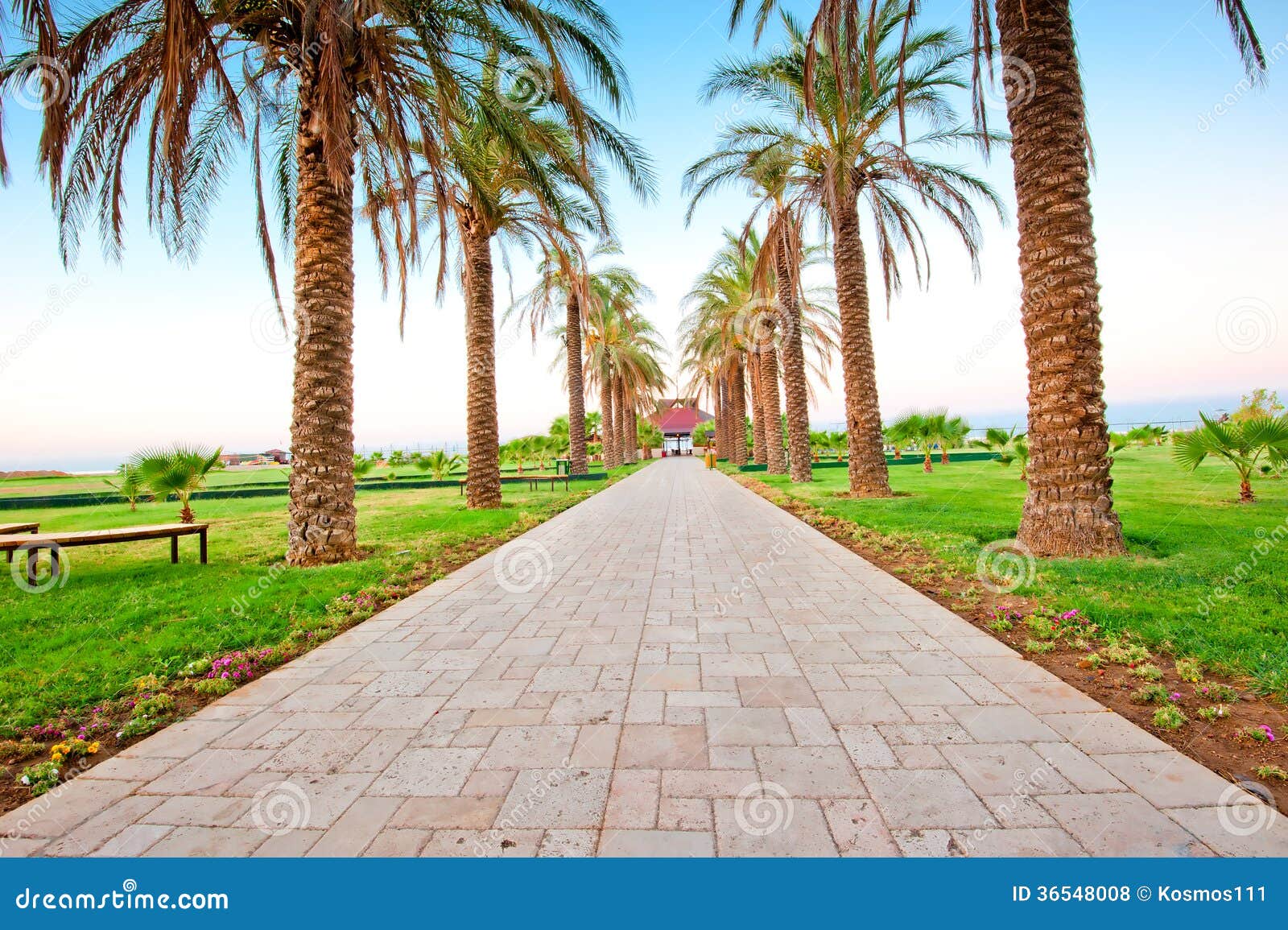 Footpath in the Hotel, Leading To the Sea Stock Photo - Image of ...