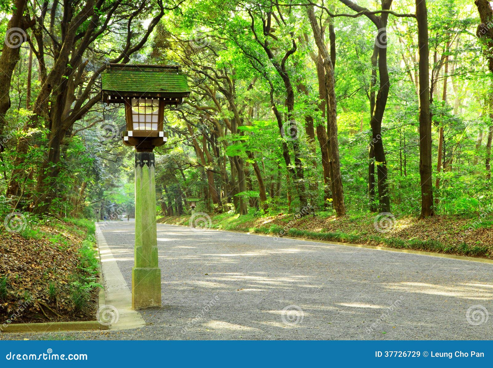 Footpath in Japanese Garden Stock Image - Image of traditional ...