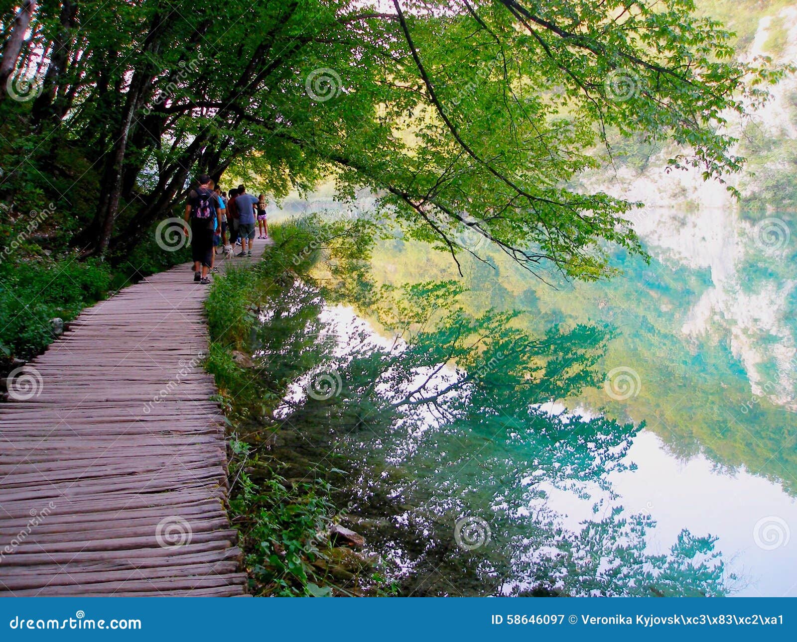 Footpath stock image. Image of footpath, tree, plitvice - 58646097