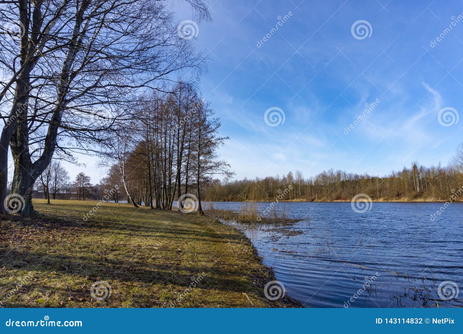 Footpath beside a Lake through Winter Trees Stock Photo - Image of ...