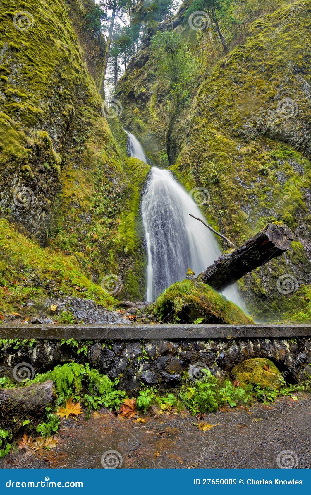 Footpath Lead Past Wahkeena Falls Autumn Stock Image - Image of wall ...