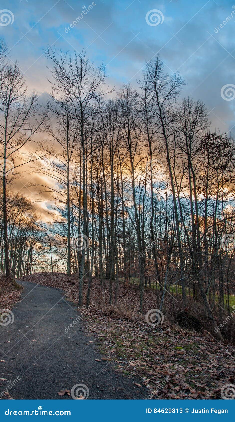 Footpath Leading To Beautiful Sunset Behind Woods Stock Image - Image ...