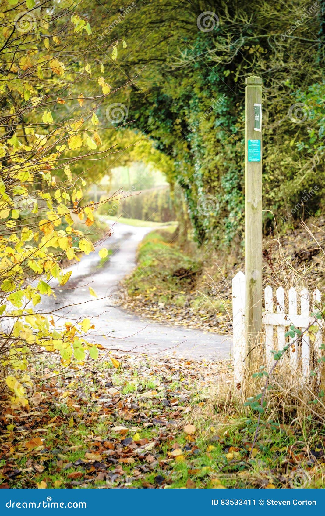 Footpath Leading To a Leafy Lane Stock Image - Image of avenue, alley ...