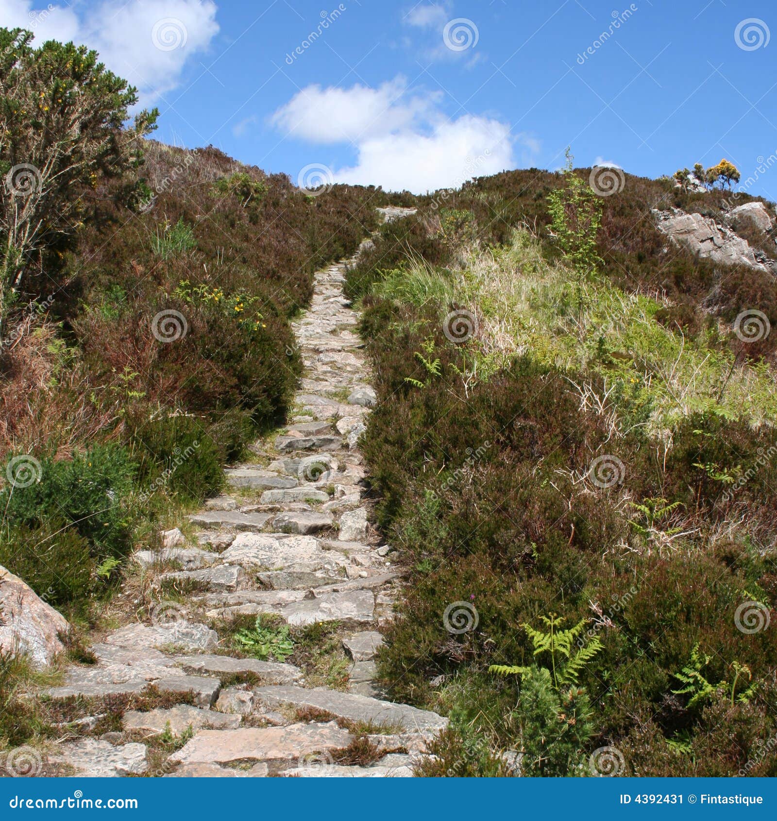 Footpath leading uphill stock image. Image of hill, uphill - 4392431