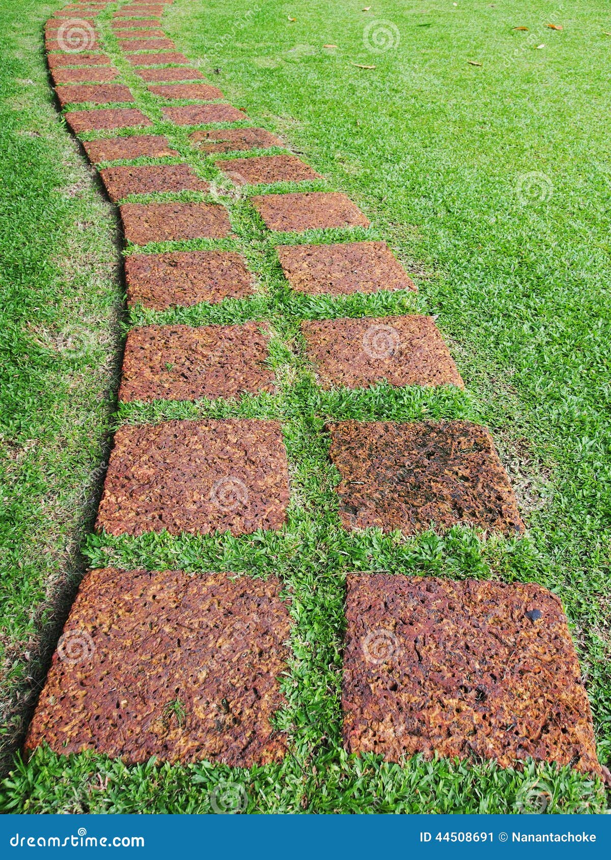 Footpath Made from Stone on Green Grass Stock Image - Image of home ...