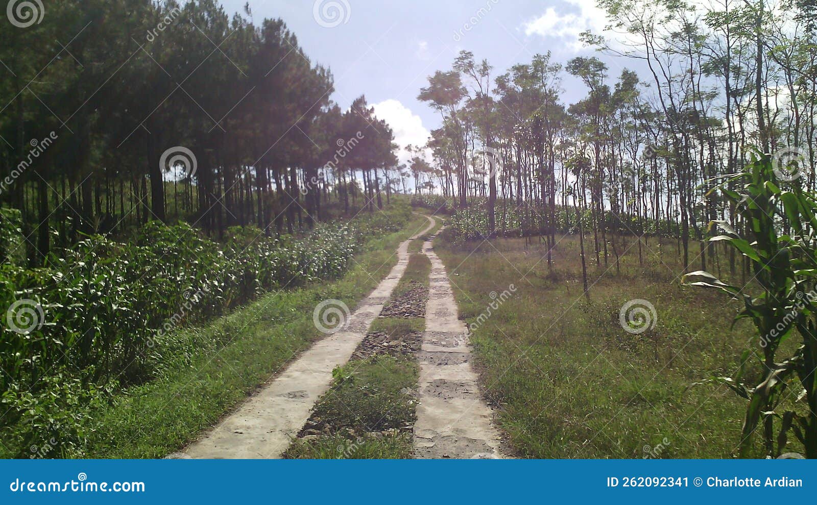 Footpath in Mountainous Area Under the Slope Stock Image - Image of ...