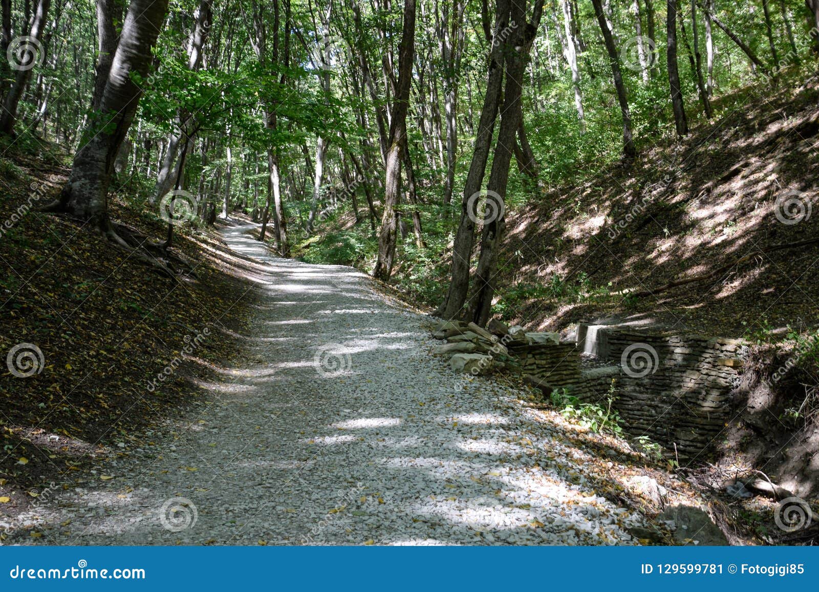 Footpath in the Mountains in the Forest. Footpath into the Forest ...