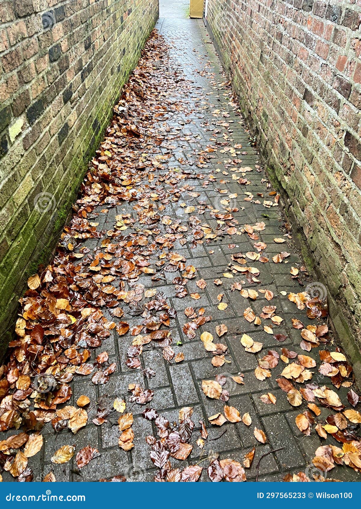 Footpath stock image. Image of wall, walls, cobbles - 297565233