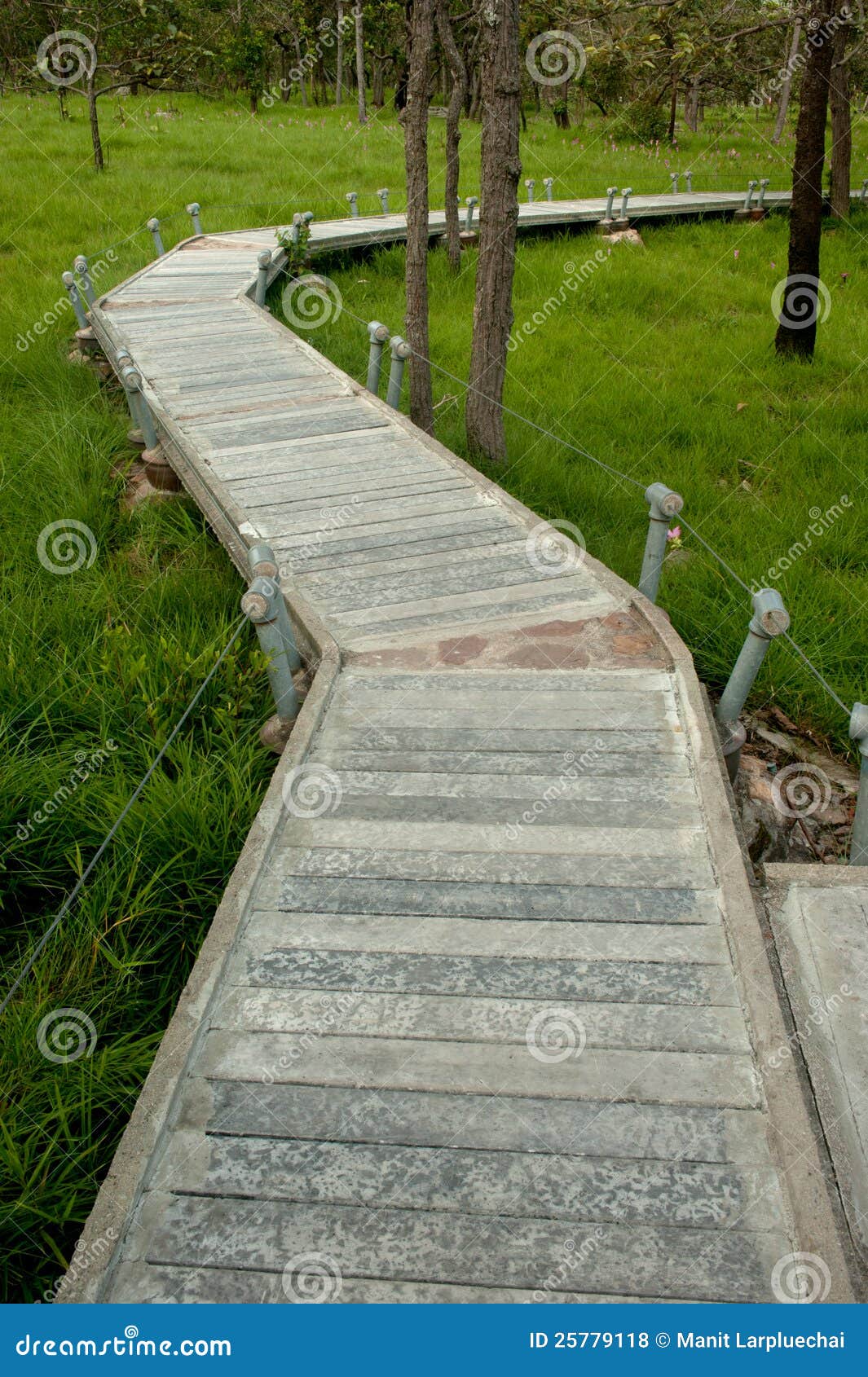 Footpath in National Park ,Northeast of Thailand. Stock Photo - Image ...