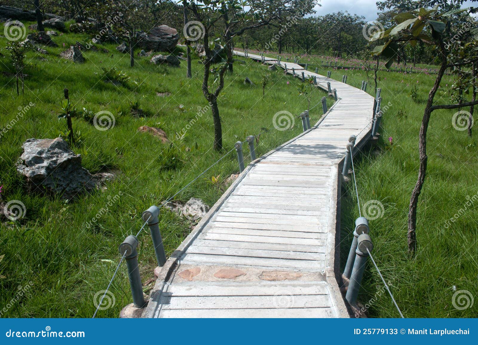 Footpath in National Park ,Northeast of Thailand. Stock Image - Image ...
