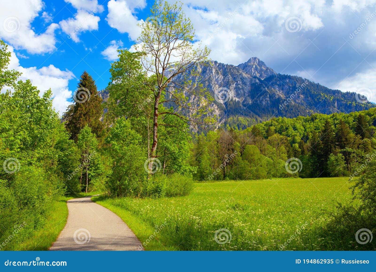 Footpath in Nature stock image. Image of mountains, lush - 194862935