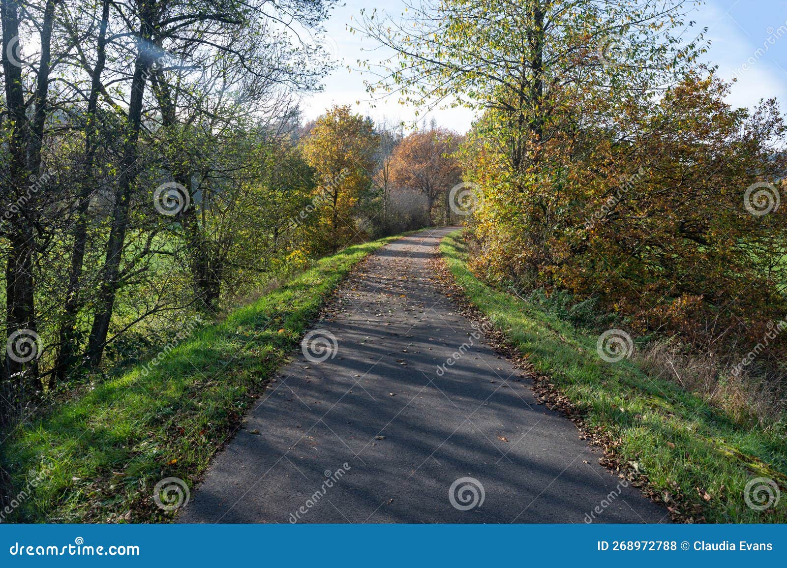 Footpath in Nature between Trees and Fall Foliage Along the Way Stock ...