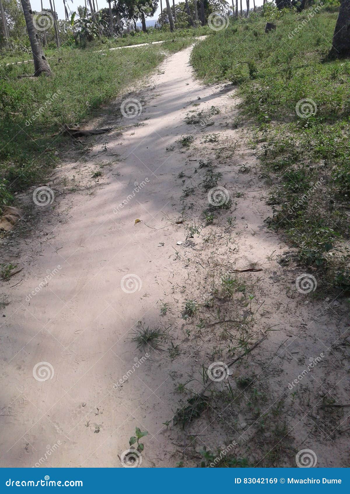 Footpath stock image. Image of footpath, wallpaper, nature - 83042169