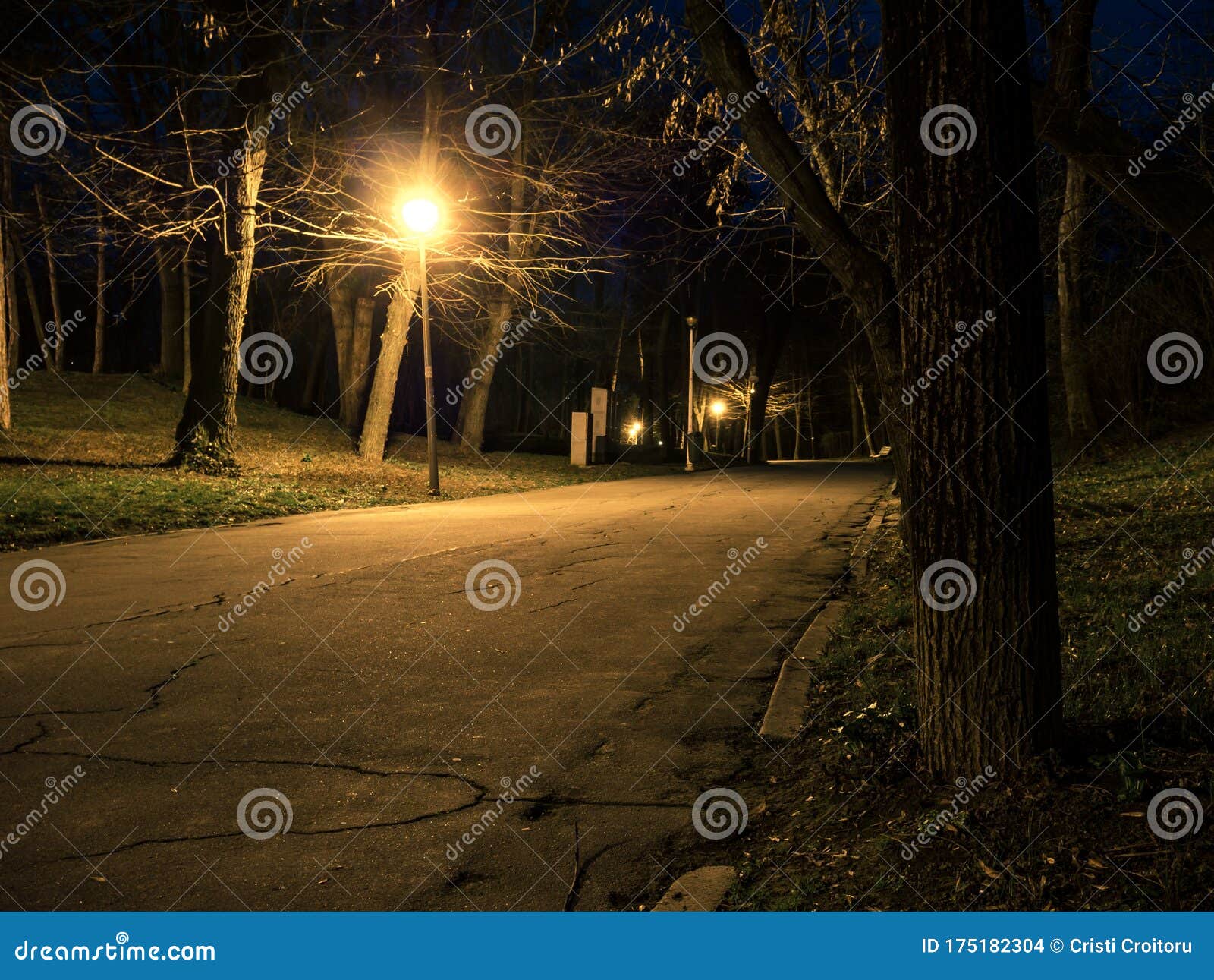 Footpath at Night in the Park Stock Photo - Image of illumination ...