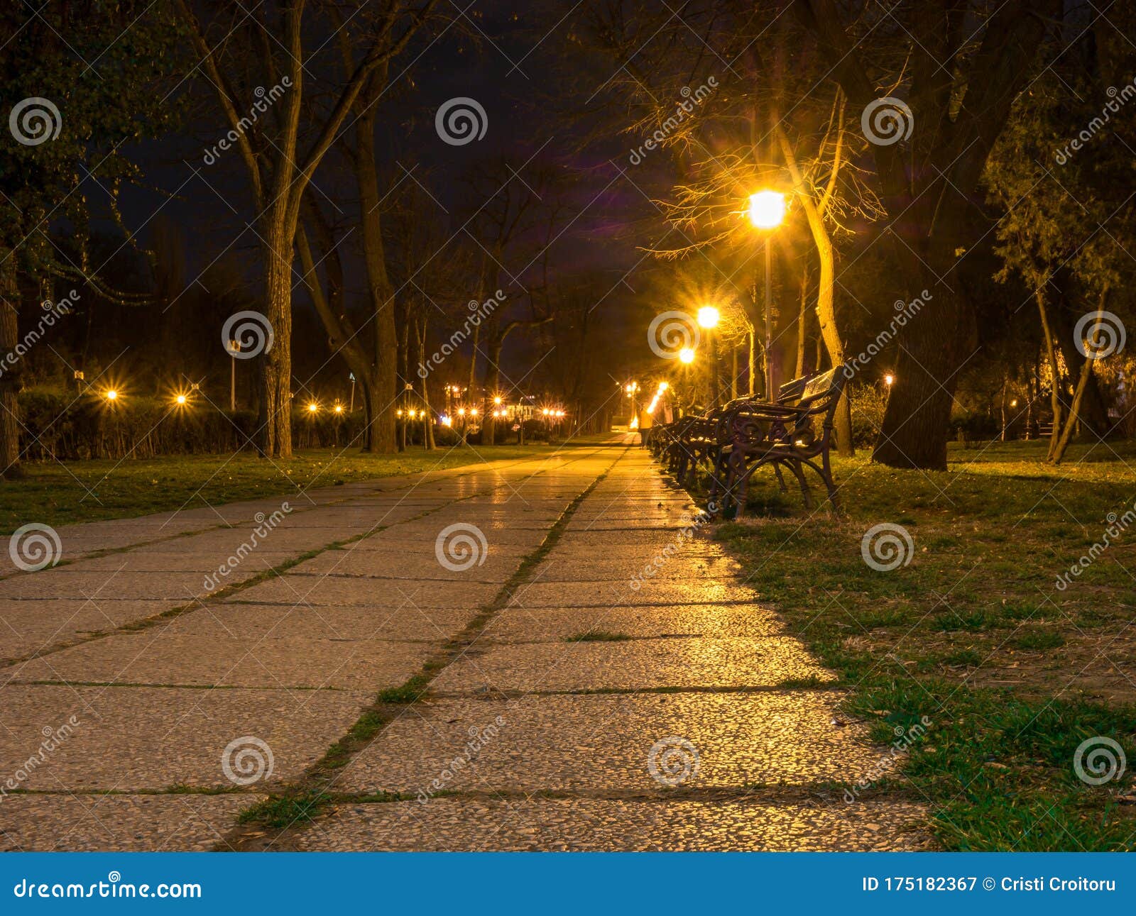 Footpath at Night in the Park Stock Image - Image of bucharest, scene ...