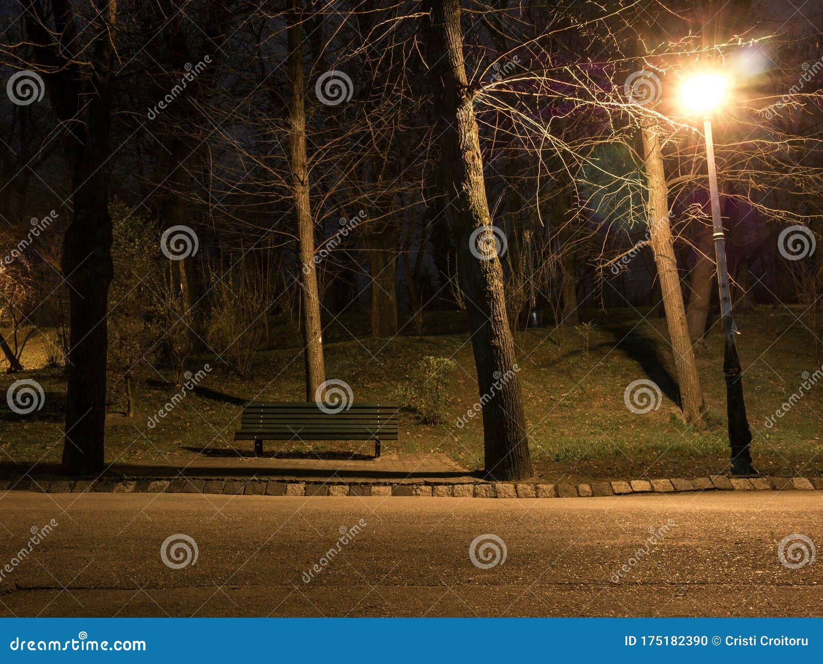 Footpath at Night in the Park Stock Photo - Image of night, pavement ...