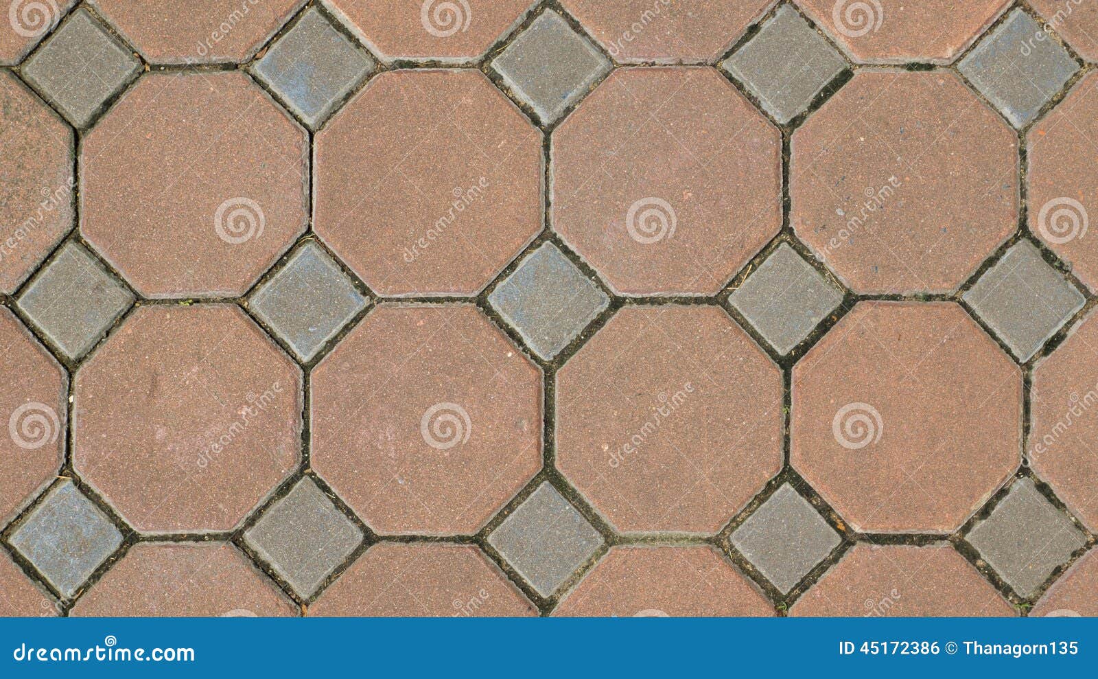 The footpath. stock photo. Image of octagon, stone, stones - 45172386