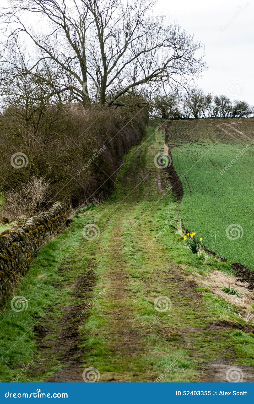 Footpath over fields stock image. Image of right, ramble - 52403355