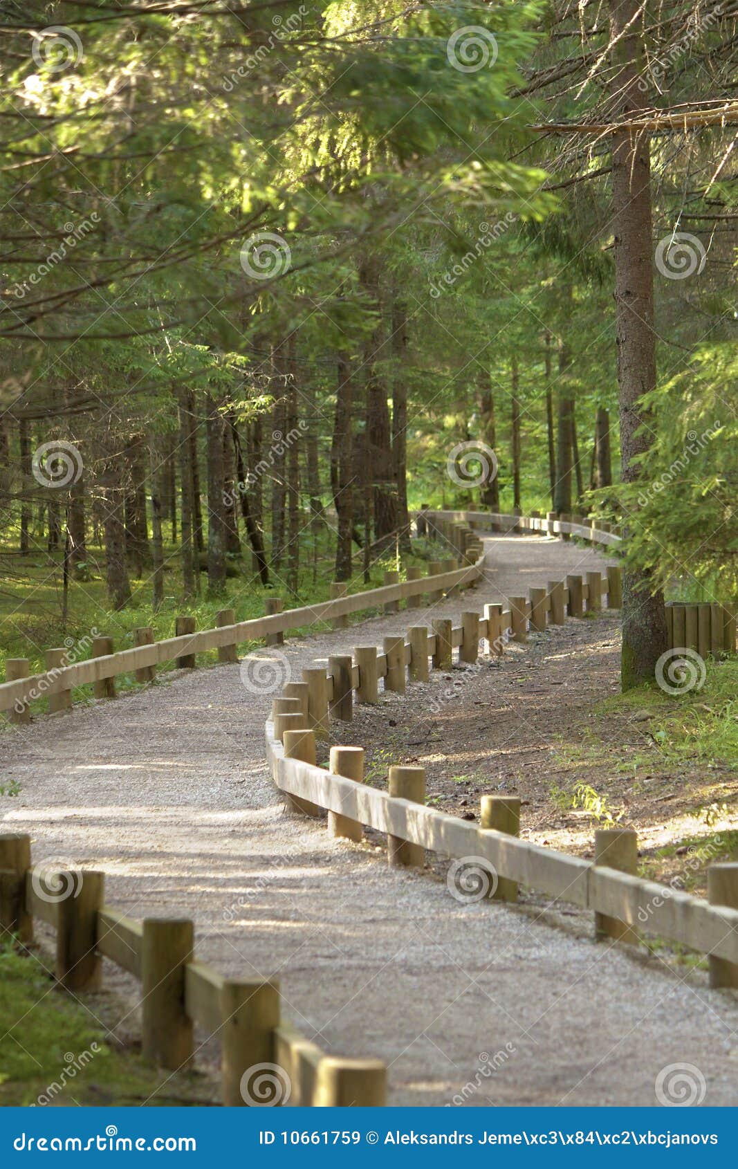 Footpath in a park stock image. Image of lane, walking - 10661759