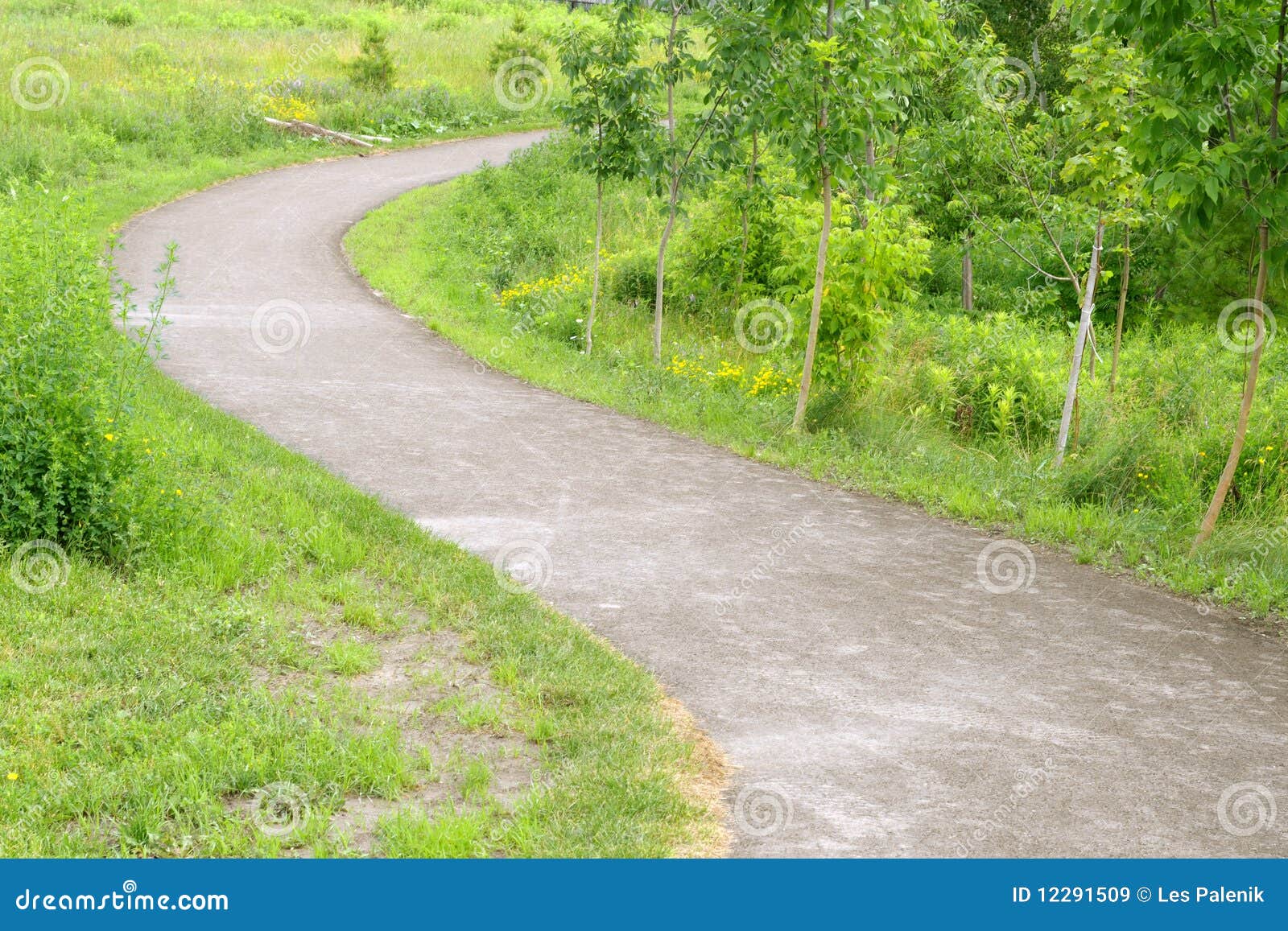 Footpath in a park stock image. Image of plants, trees - 12291509
