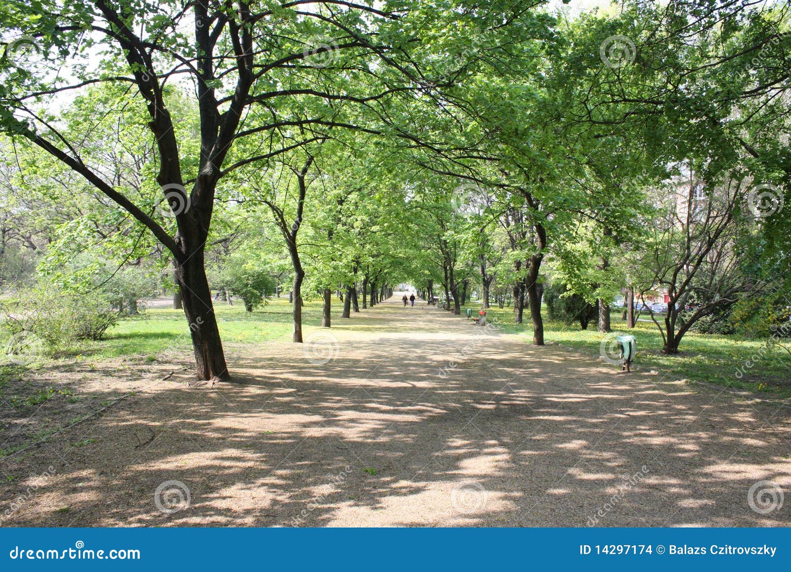 Footpath in a park stock photo. Image of park, relax - 14297174