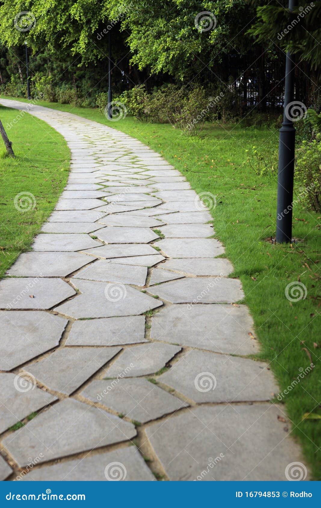 Footpath in park stock image. Image of color, backyard - 16794853