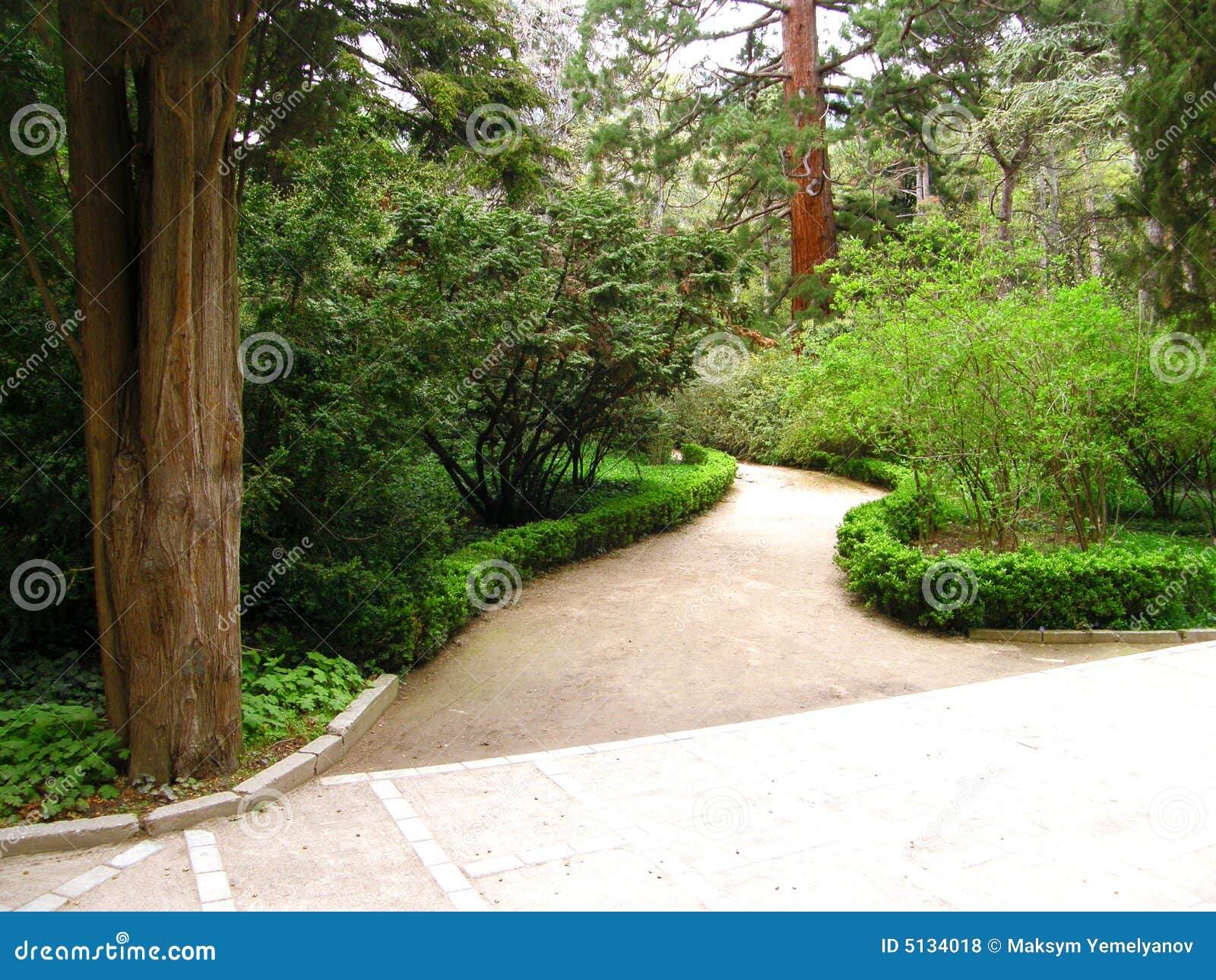 Footpath in park stock photo. Image of empty, enjoyment - 5134018