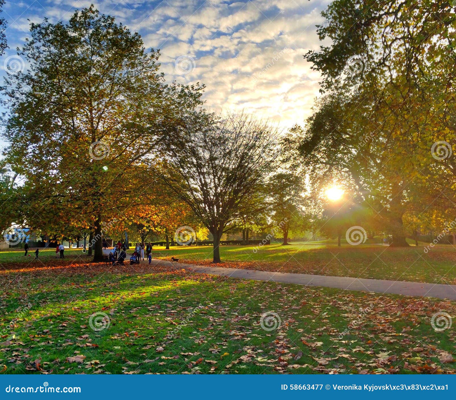Footpath stock image. Image of sunset, autumn, fall, footpath - 58663477