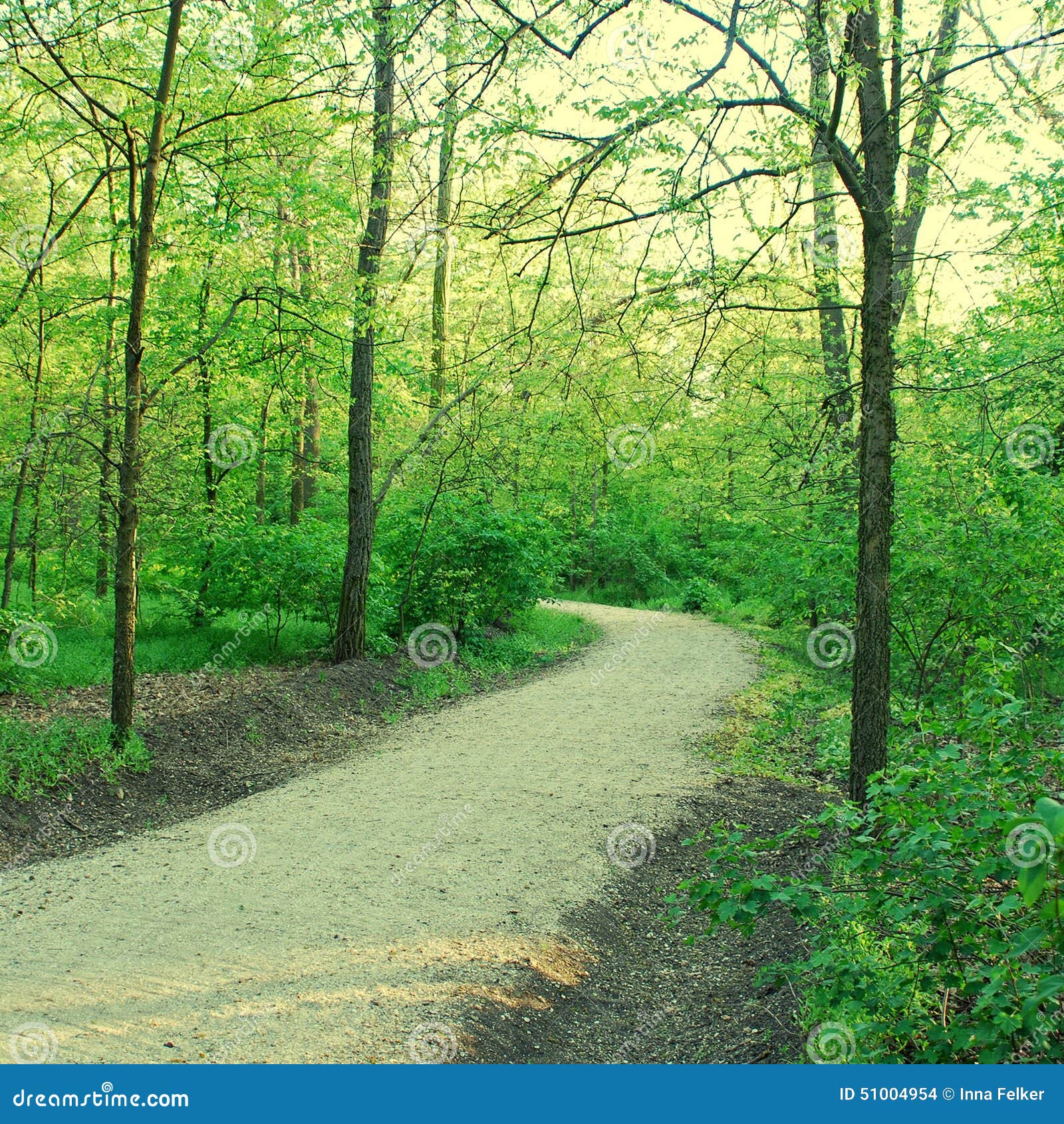 Footpath in park stock photo. Image of curve, horizontal - 51004954