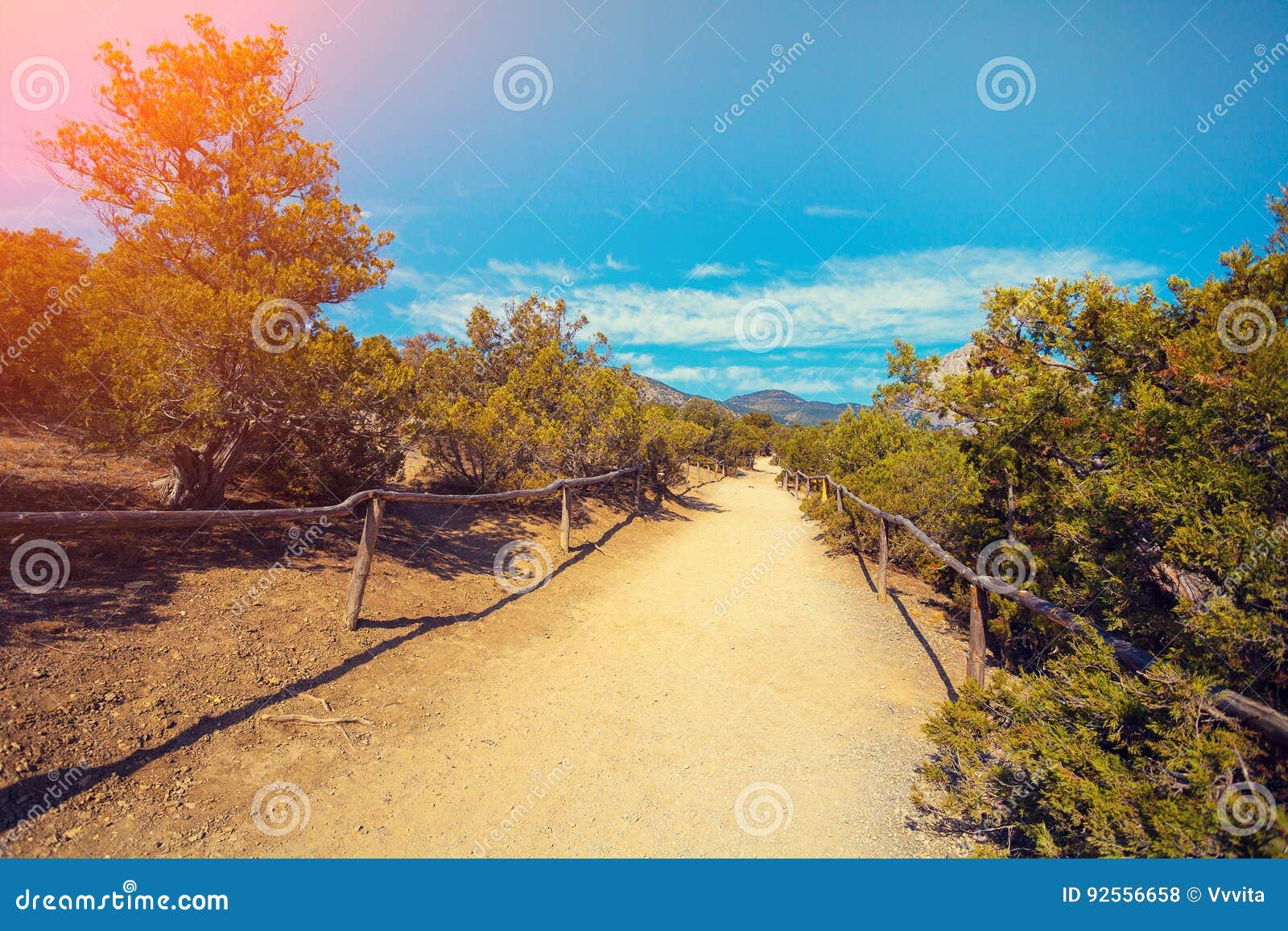 A footpath in the park stock photo. Image of garden, dirt - 92556658