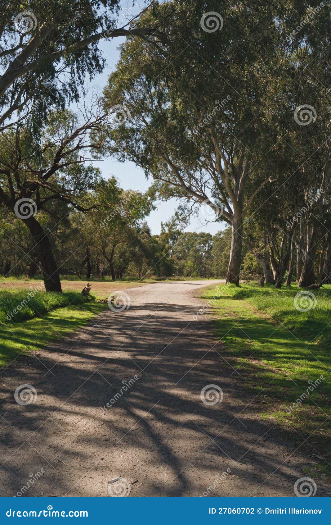 Footpath in Park with Shadows Stock Photo - Image of trees, road: 27060702