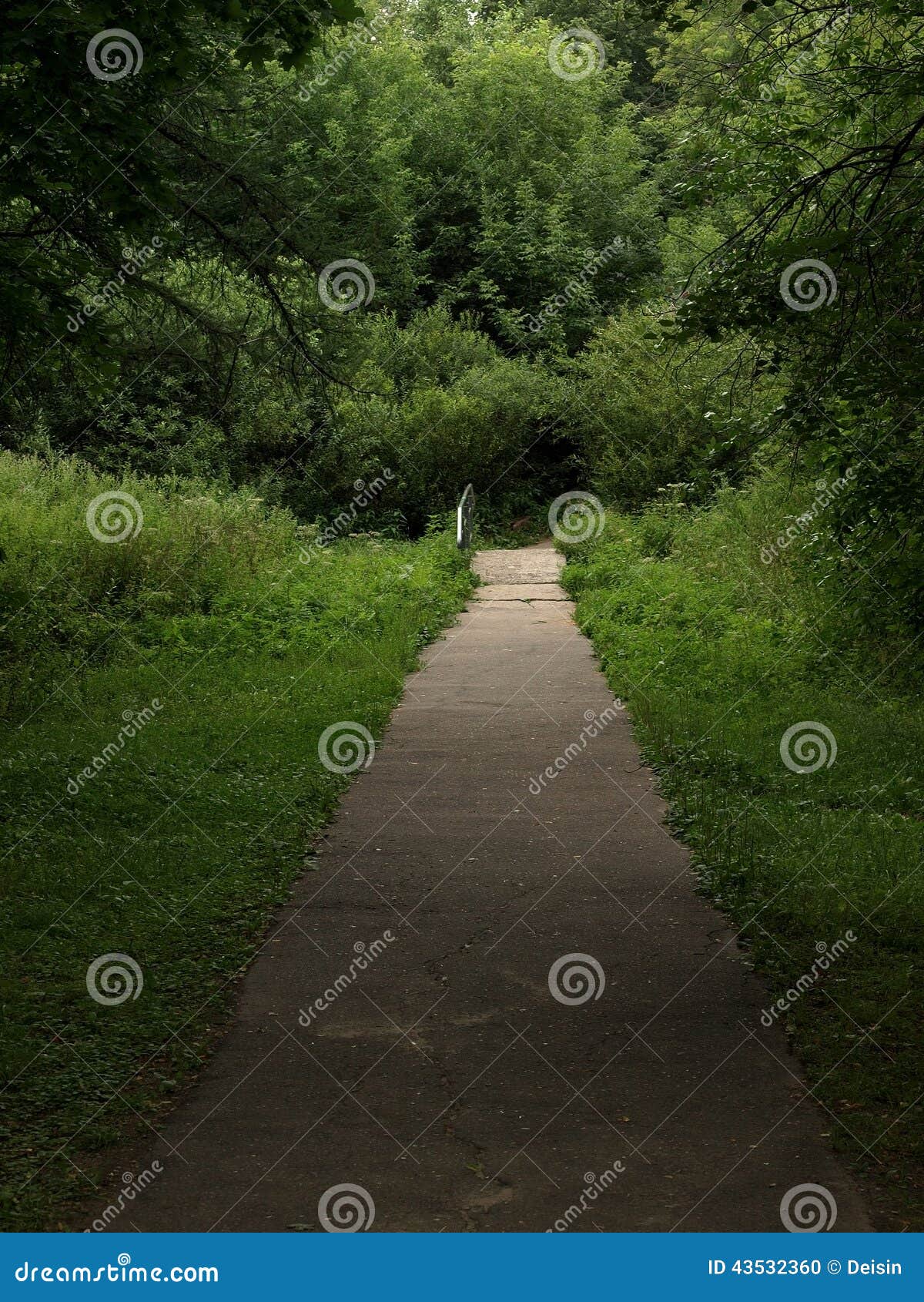 Footpath in park stock photo. Image of park, green, trees - 43532360