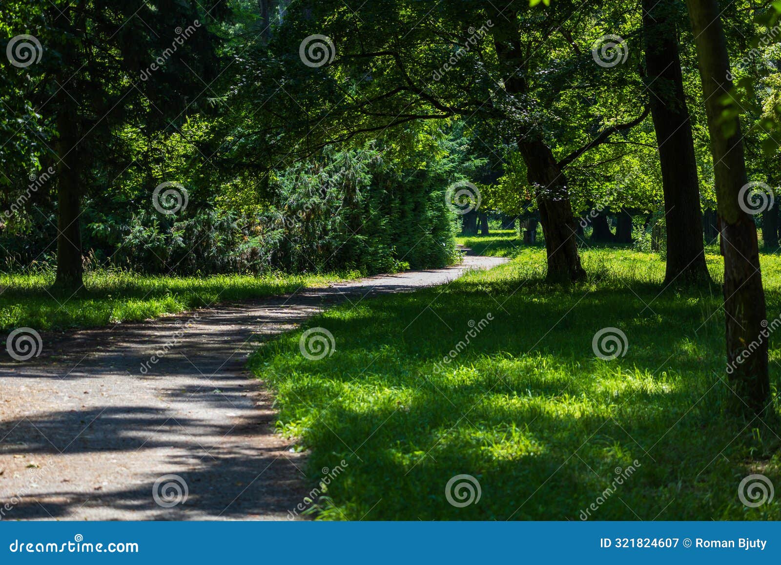 Footpath in the Park. There are Big Green Trees Around Stock Image ...