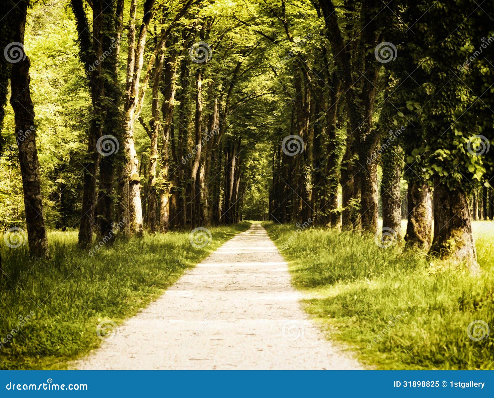 Footpath in a park (2) stock image. Image of alley, away - 31898825