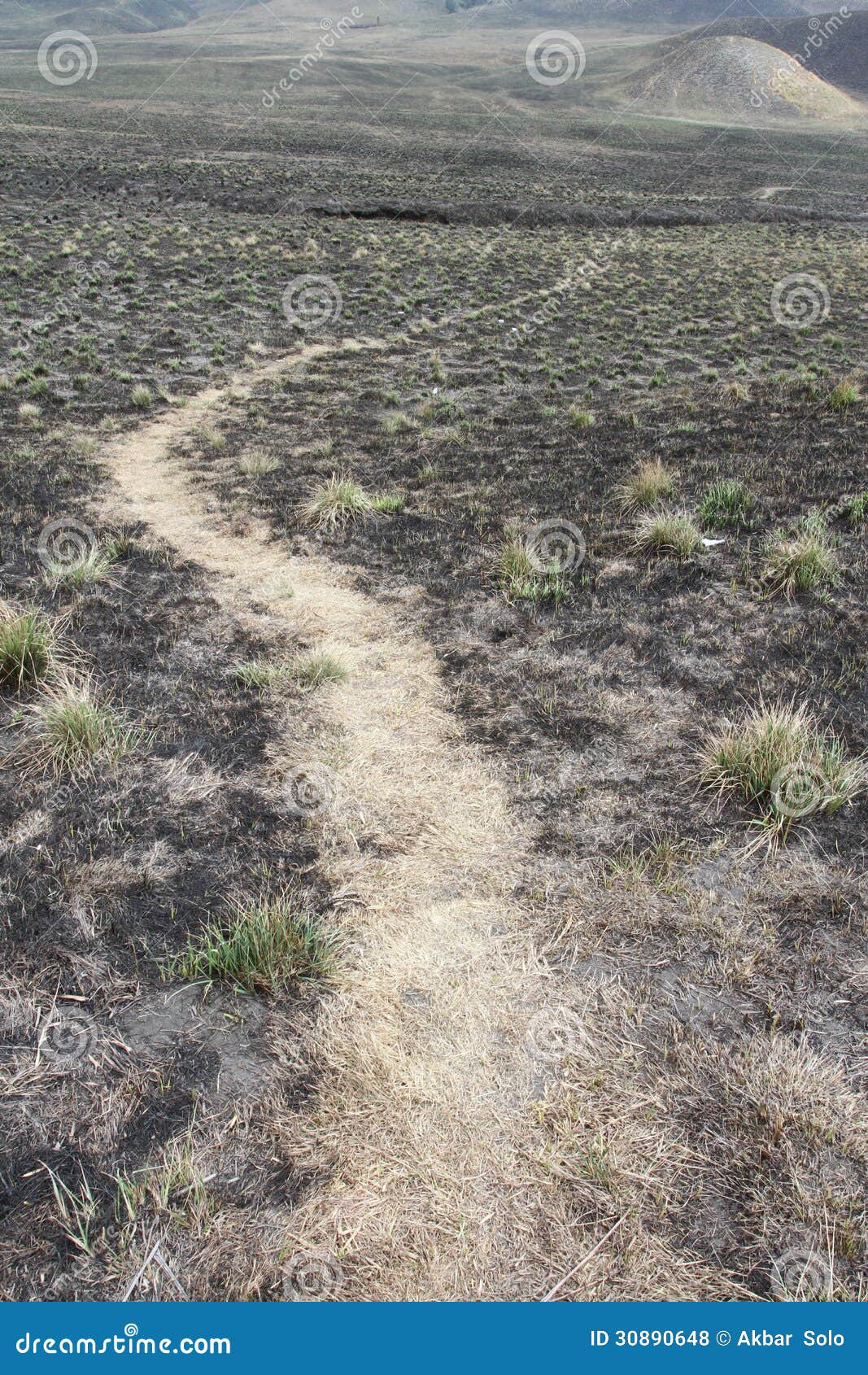 Footpath stock photo. Image of grasslands, path, walk - 30890648
