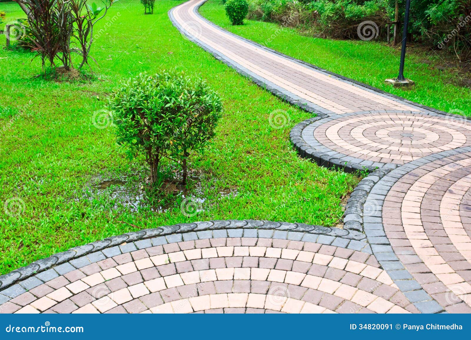 Footpath stock image. Image of spring, wood, walk, nature - 34820091