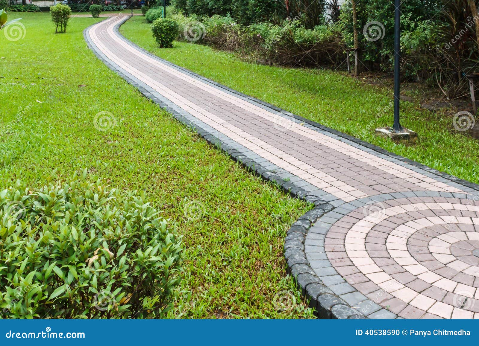 Footpath stock photo. Image of tree, path, autumn, pathway - 40538590