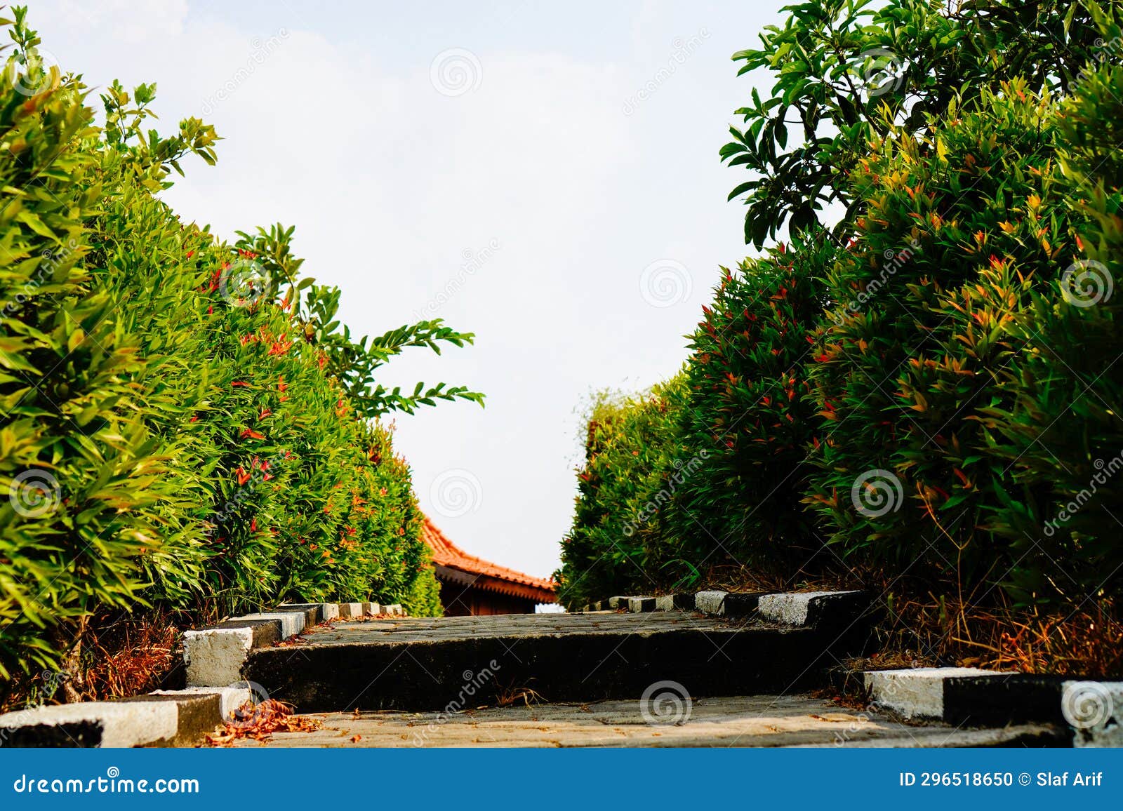 Bottom View with Sky Background from Brick Road Stock Photo - Image of ...