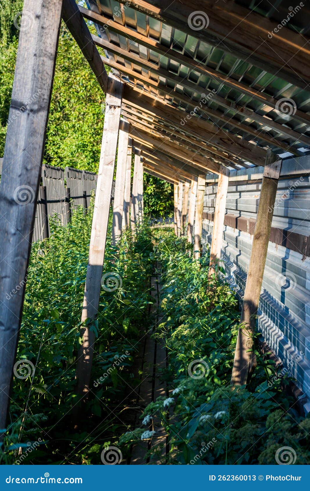 Footpath with Protection from Above Passing Next To the Construction ...