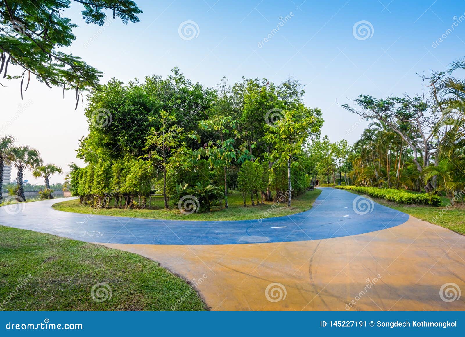 Footpath in Public Park stock image. Image of meadow - 145227191