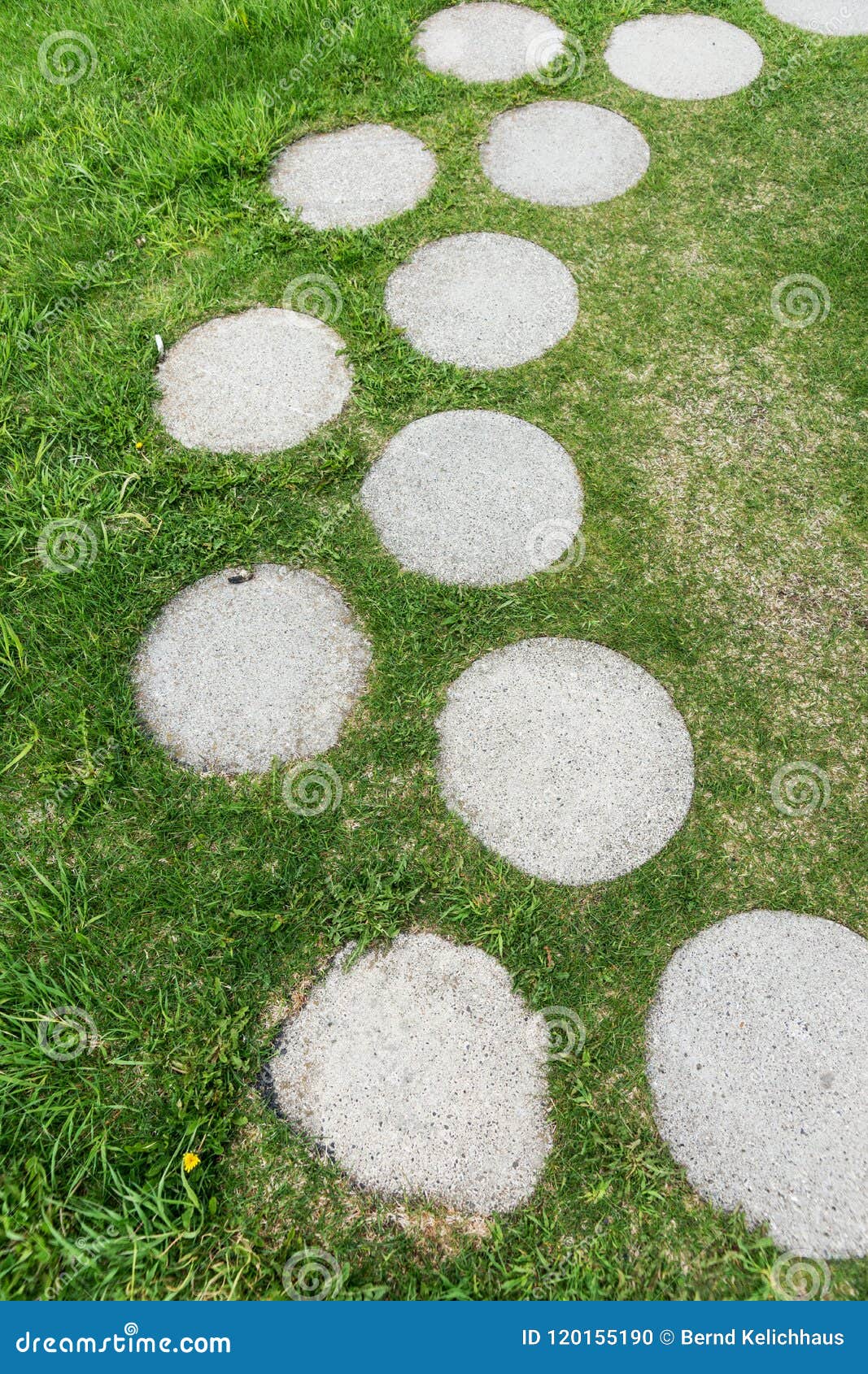 Footpath with Round Stone Slabs in the Grass Stock Photo - Image of ...