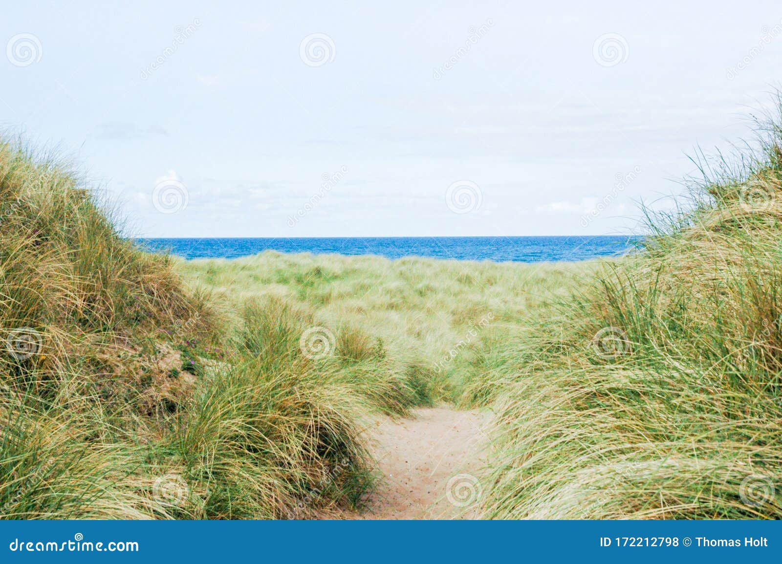 Footpath through Sand Dunes at the Beach with Long Grass and No People ...