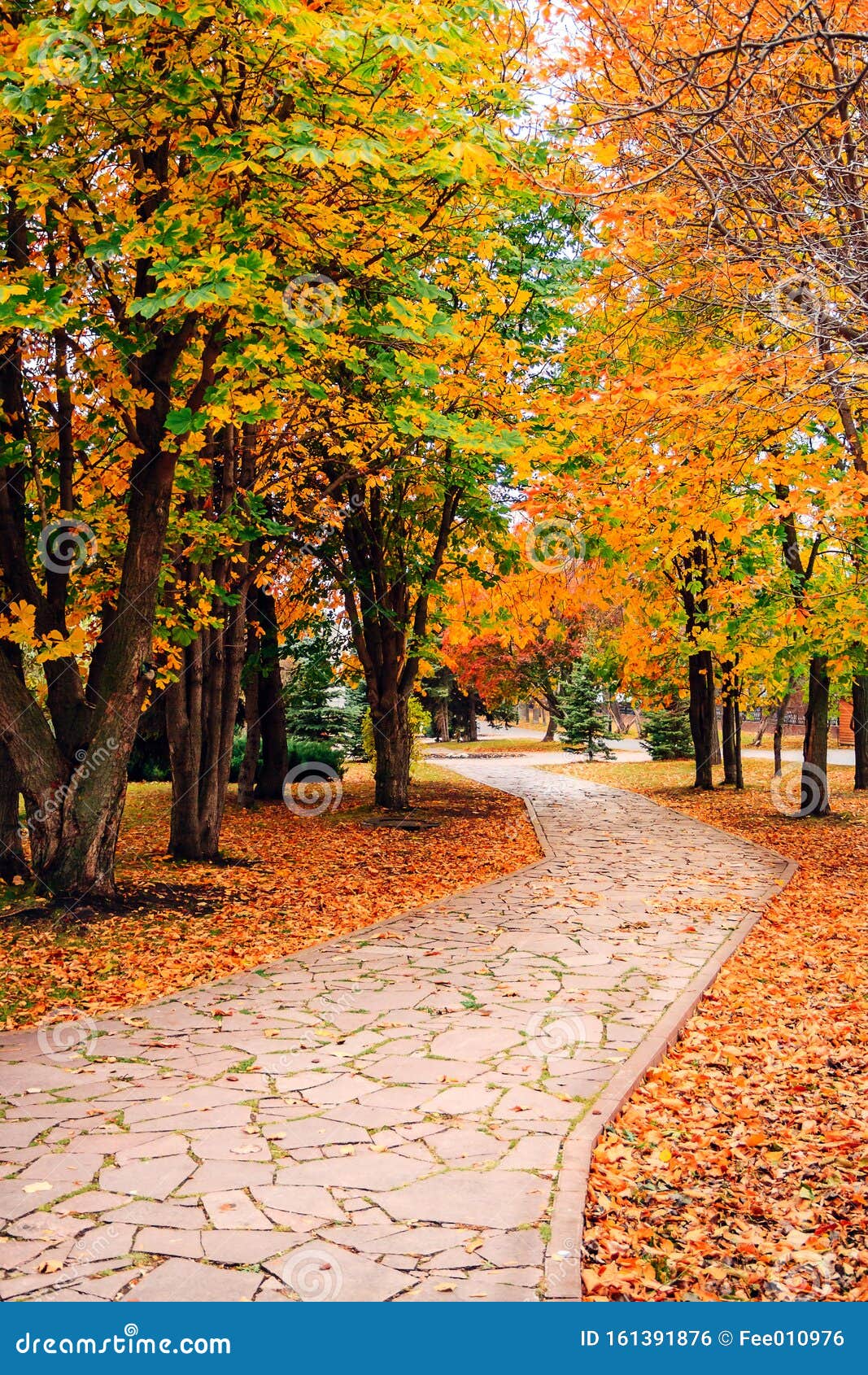 Footpath in Scene Autumn Park, Nature Stock Photo - Image of outdoor ...