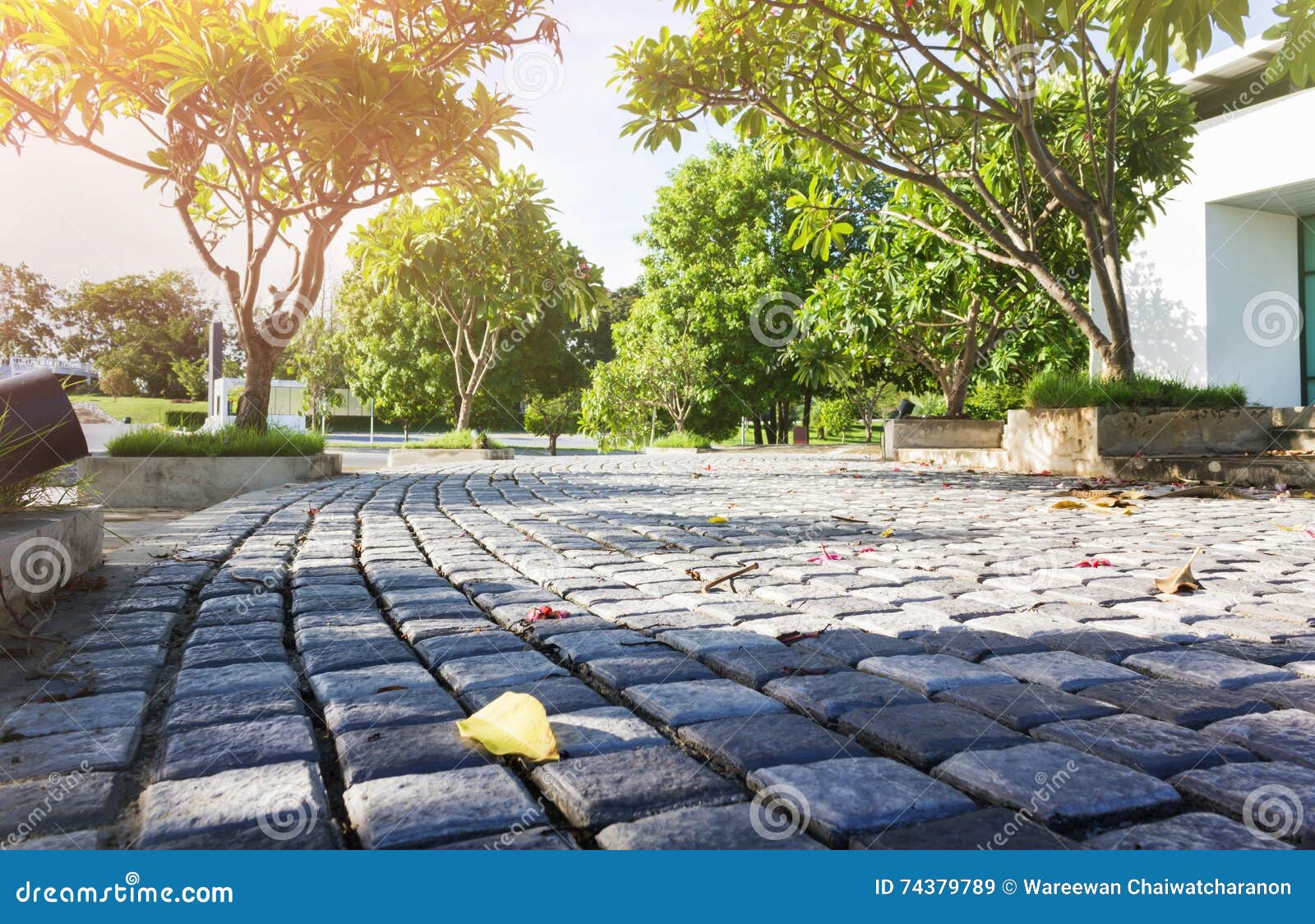 Footpath or Sidewalk and Pedestal Surface, Rock Tile Pavement Gr Stock ...