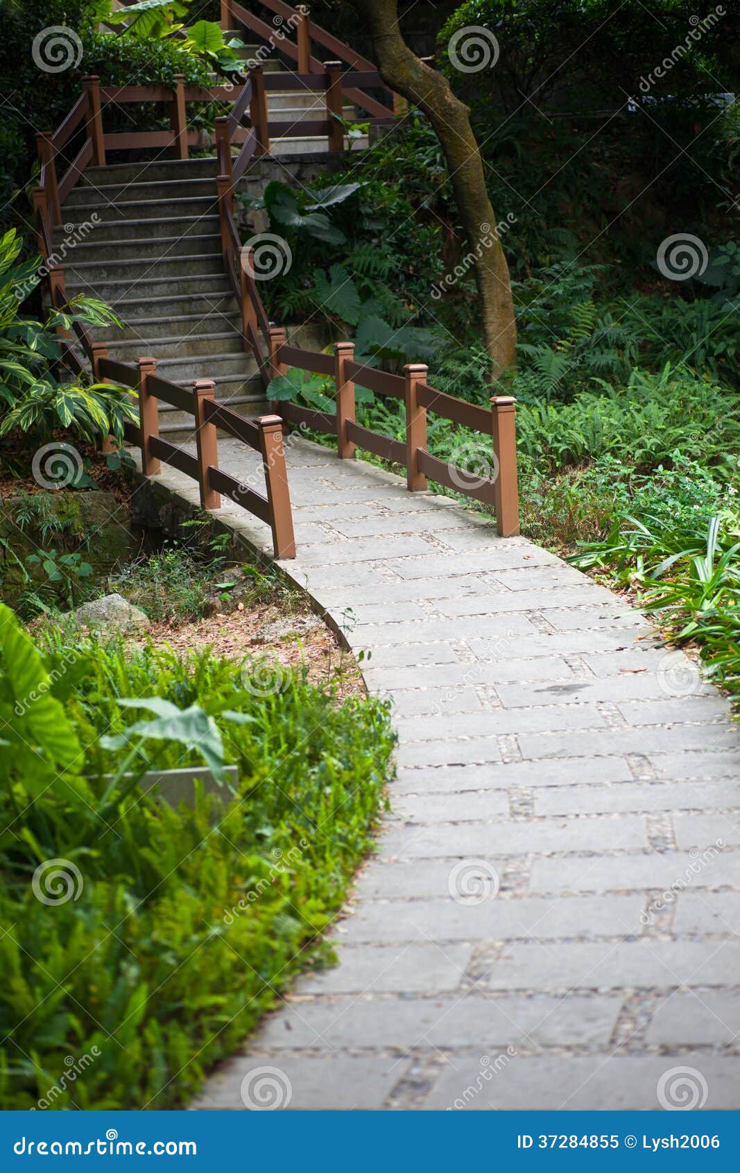 Footpath and steps stock image. Image of plant, canton - 37284855 Footpath and steps stock image. Image of plant, canton - 37284855
