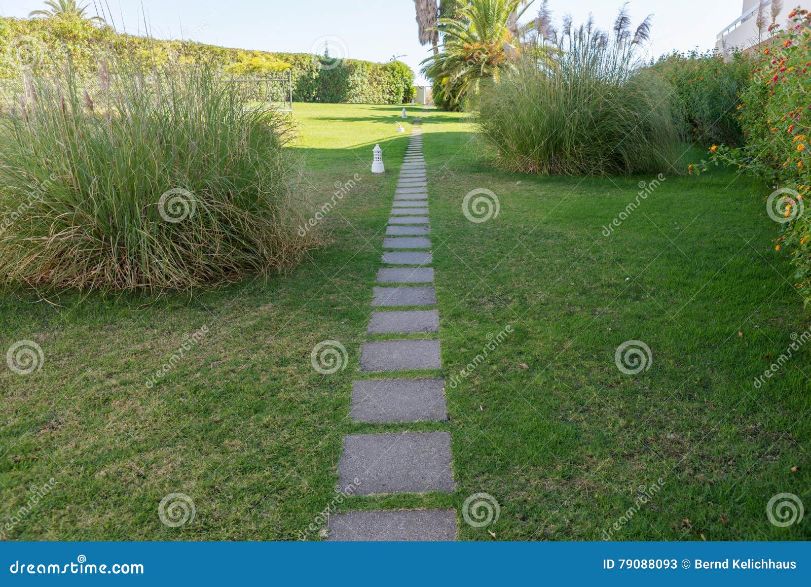 Footpath with Stone Slabs in the Grass Stock Image - Image of lawn ...