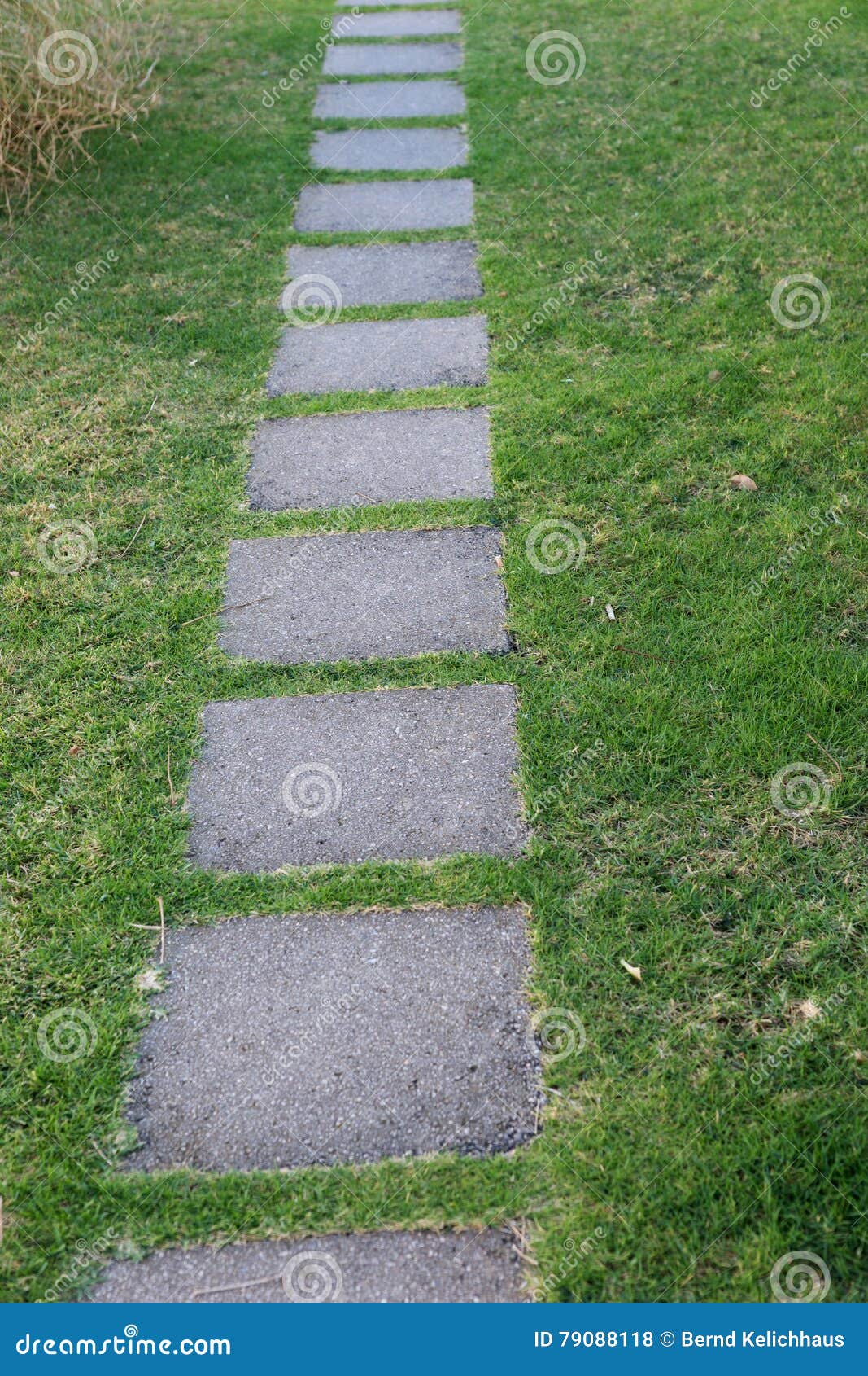 Footpath with Stone Slabs in the Grass Stock Photo - Image of nature ...