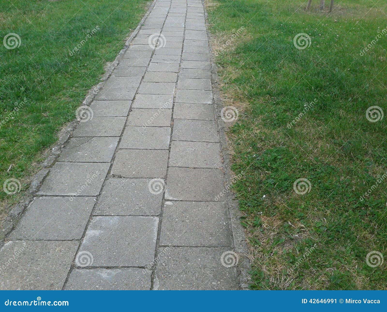 Footpath stock image. Image of tiles, green, footpath - 42646991