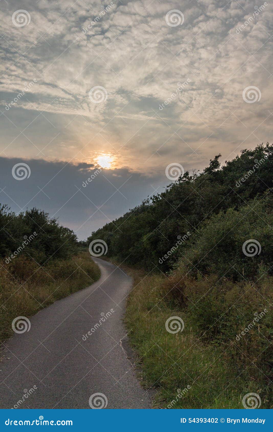 Footpath at Sunset stock photo. Image of twilight, path - 54393402