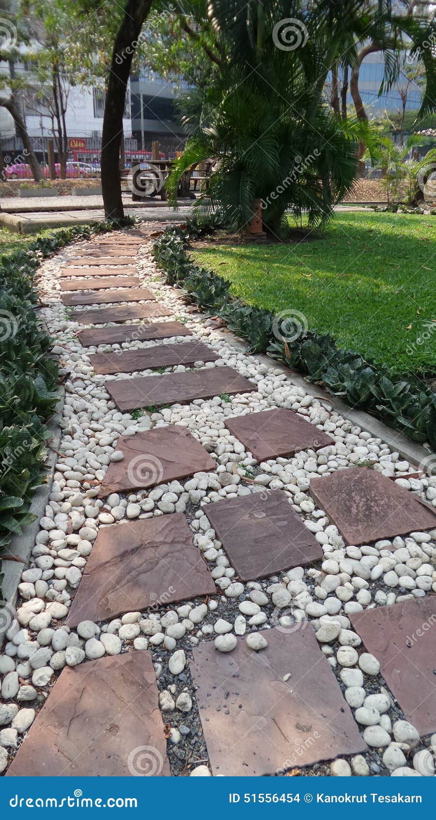 Footpath in the garden editorial stock image. Image of footpath - 51556454